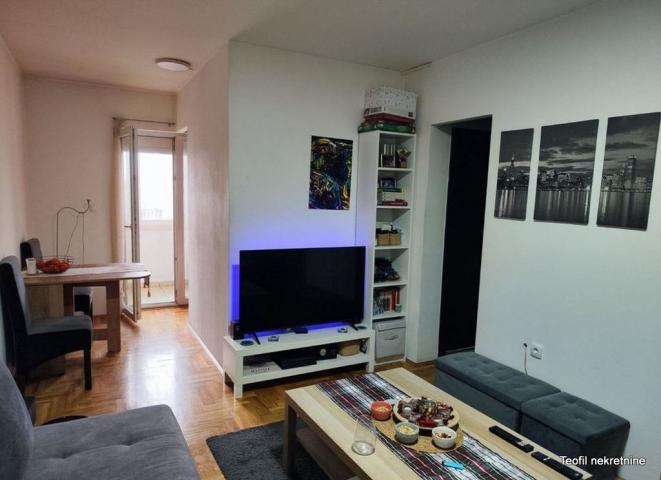 MLADENOVAC LEDINE 43m2 , (L+T) ,91000e