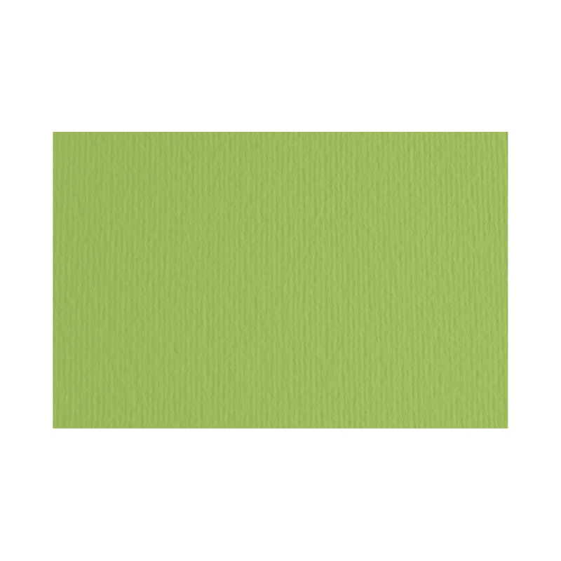 Papir U Boji B2 220g Elle Erre Fabriano 42450710 Zeleni (Verde Pisello)