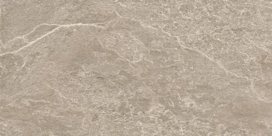 CORE BEIGE DARSR877 598X298X9 R10-B 30×60