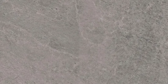 CORE GREY DARSR874 598X298X9 R10-B 30×60