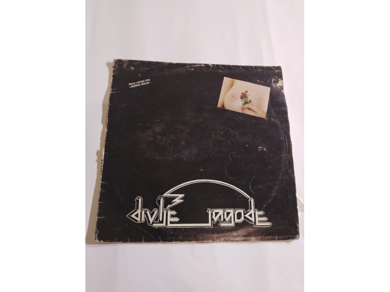 Divlje jagode Divlje jagode