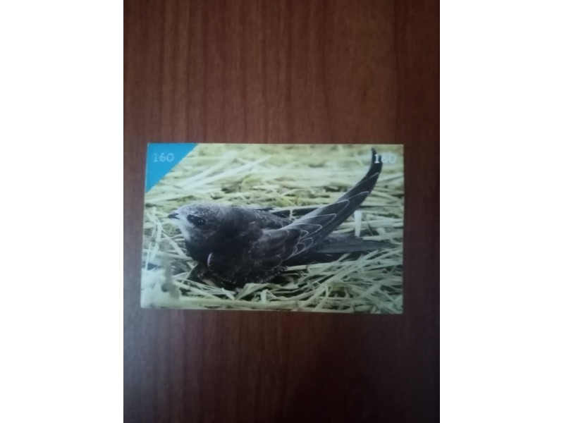 Životinjsko carstvo broj 160