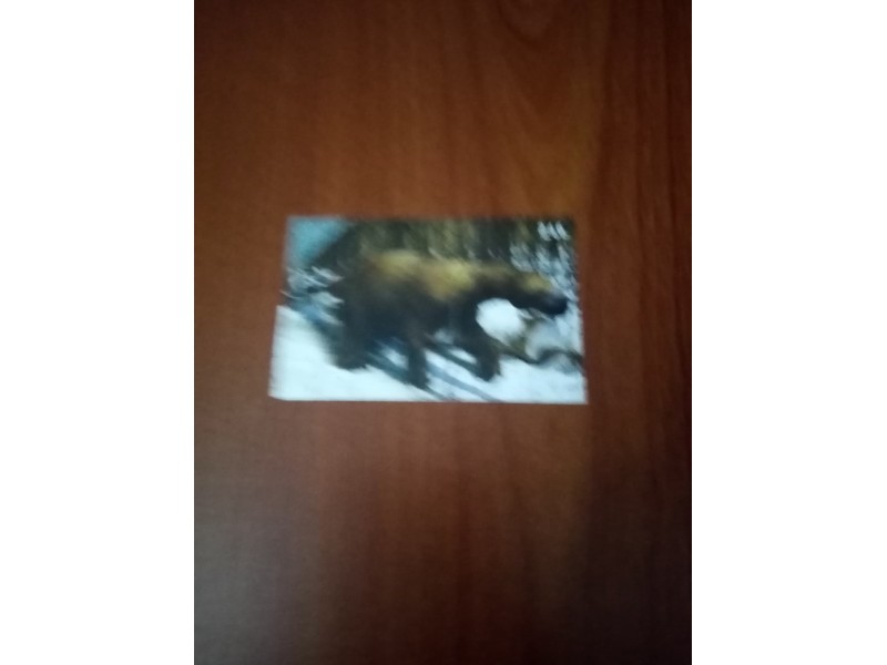 Životinjsko carstvo broj 246