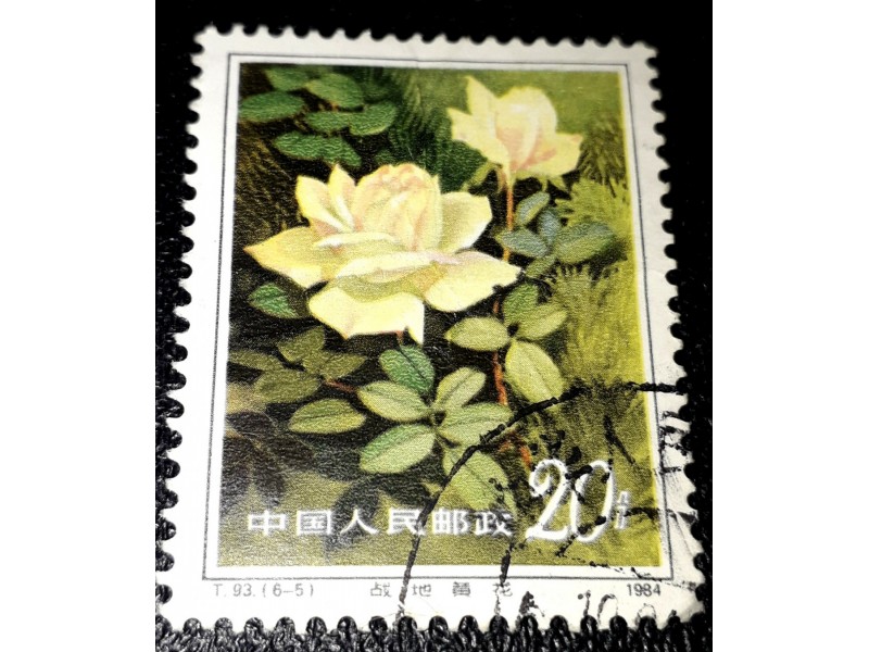 Japan 1984 - flora