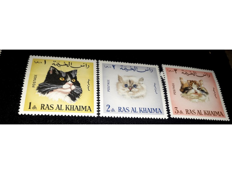 Kajman - MNH - mačke