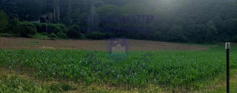 Beočin - Čerević, Beočin