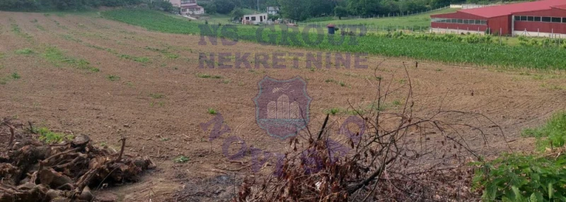 Beočin - Čerević, Beočin