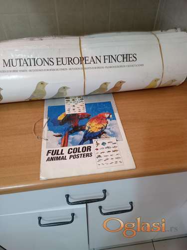PRODAJEM POSTERE