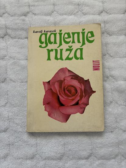 Gajenje ruža