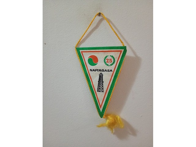 25 godina Naftagasa