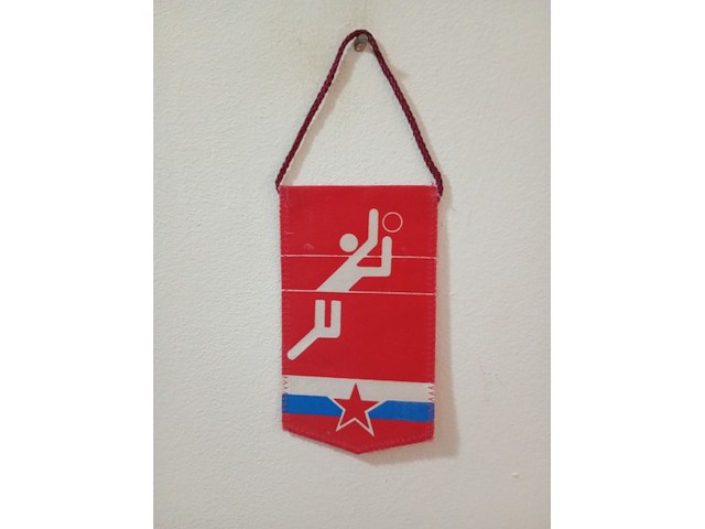 Odbojkarska Sveza Slovenije