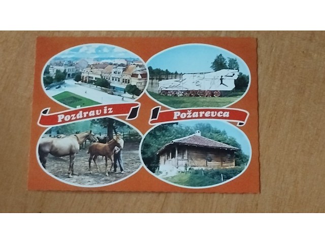 Požarevac - Spomenik - Životinje - Konji - Čista
