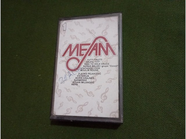 MESAM 89 1
