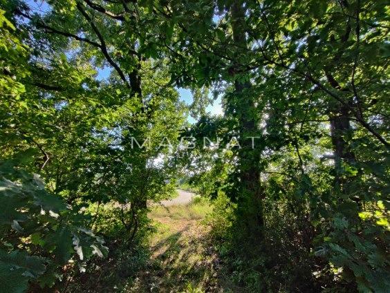 Plac na prodaju, Sopot, Kosmaj, 25.000€