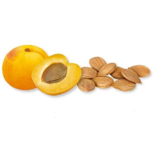 JEZGRO KAJSIJINE KOŠTICE RINFUZ 1KG