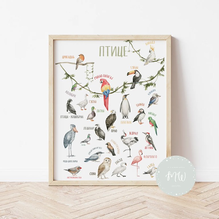 It's a moms world Edukativni poster za decu bez rama Insekti A3, 3D