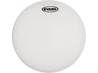 Evans B14HDD 14" GEN HD DRY CTD