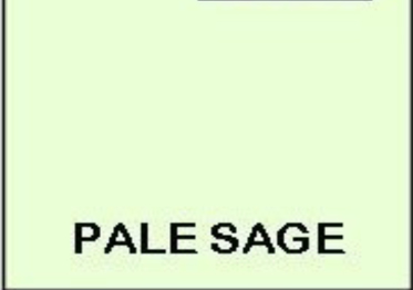 Badger BADGER SNR-219 Stynylrez Primer Pale Sage 60 ml