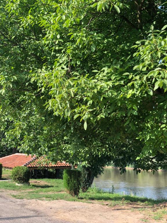 Apartmani Morava 54