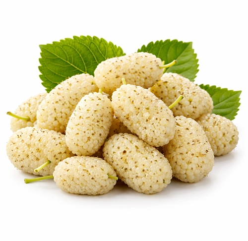 Beli dud domaći 200g