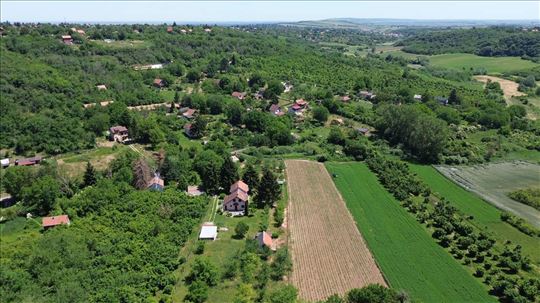 Čortanovci, Građevinsko zemljište 5082m2 HITNO!