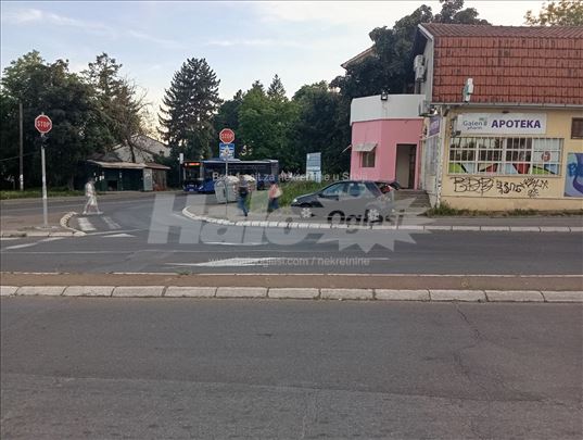 Labudovo brdo oplenacka