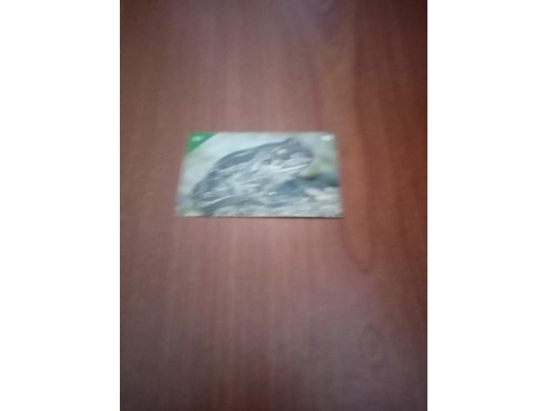 Životinjsko carstvo broj 93