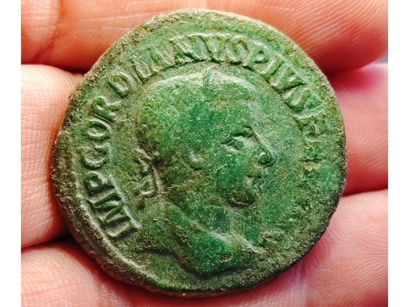 Sester Gordian III viminacium AN III Serbona Lav i Bik