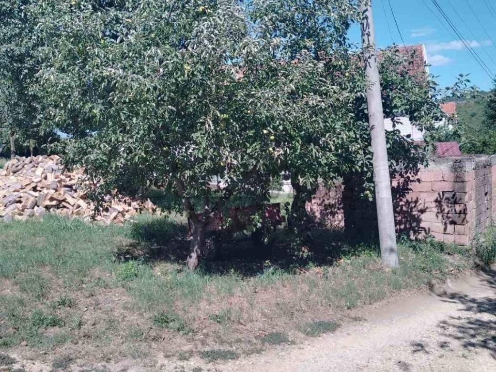 Poljoprivredno zemljište za Prodaja