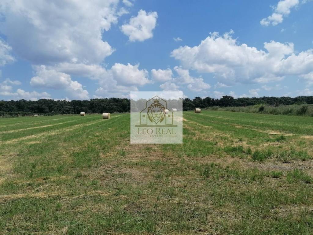 Poljoprivredno zemljište za Prodaja