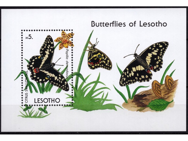 Lesotho 1990. Blok br. 71, Fauna, Leptiri