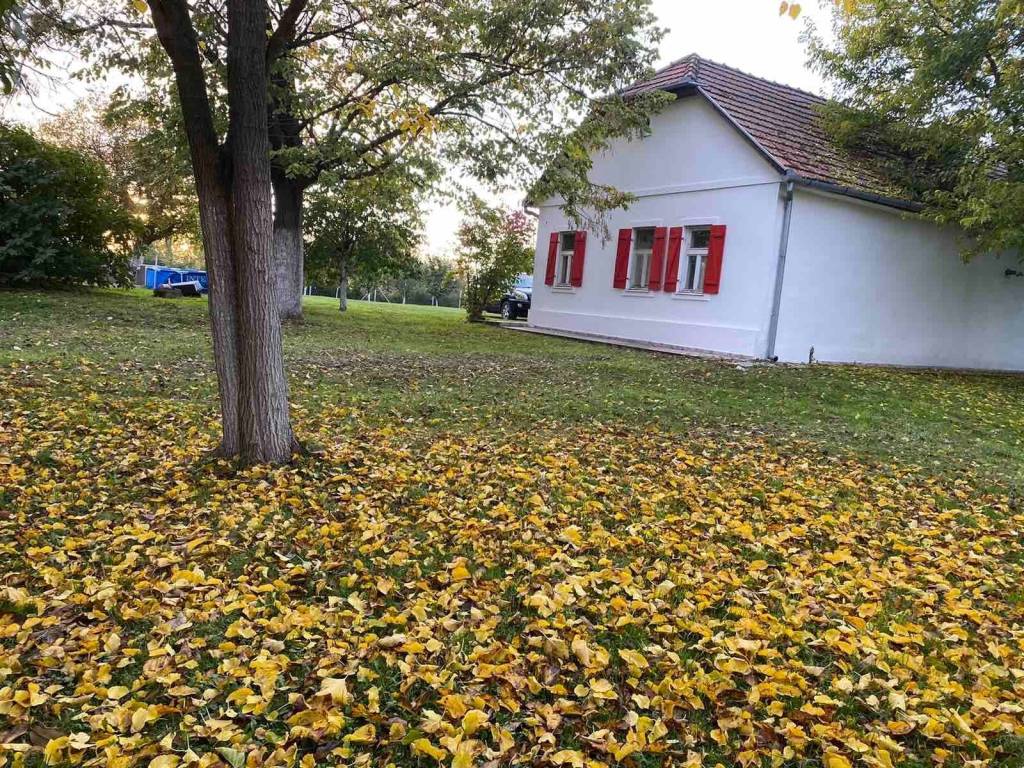 Seosko imanje Obzir, Sombor, Sombor