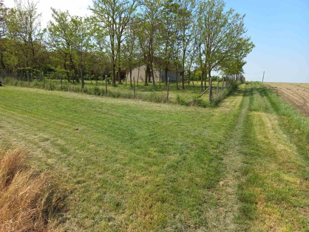 Seosko imanje 180 m², Centar 1, Subotica