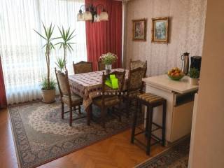 Samostalna porodična vila 350 m², Niš