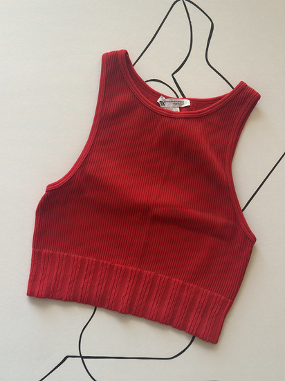 Zara crop top