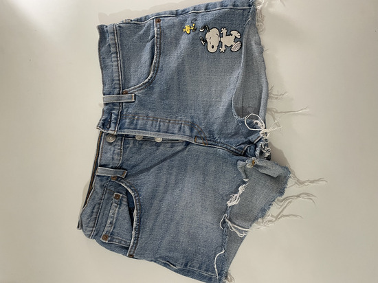 Levis sorc