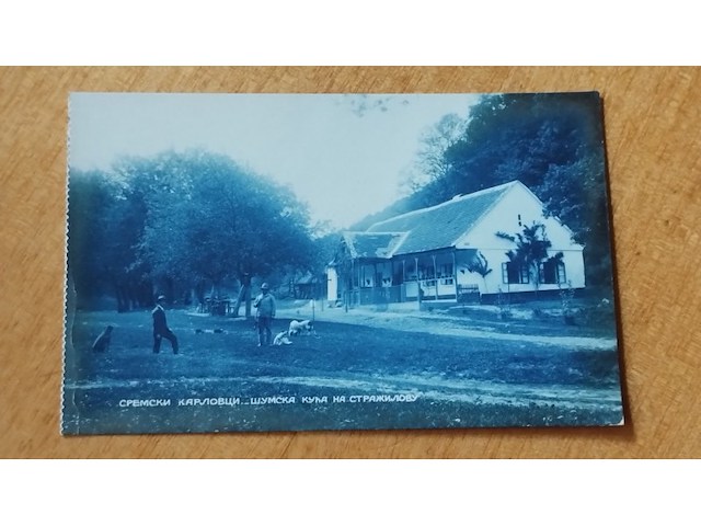 Sremski Karlovci - Šumska Kuća - Stražilovo - Čista