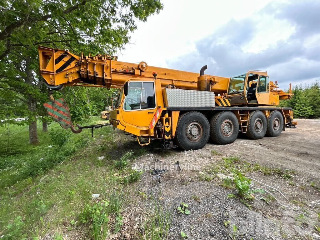 Prodaje se FAUN RTF 60-4 dizalicu za sve terene na aukciji