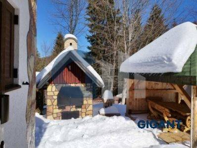 Samostalna porodična vila Vojvode Stepe Stepanovića, Raška - Kopaonik