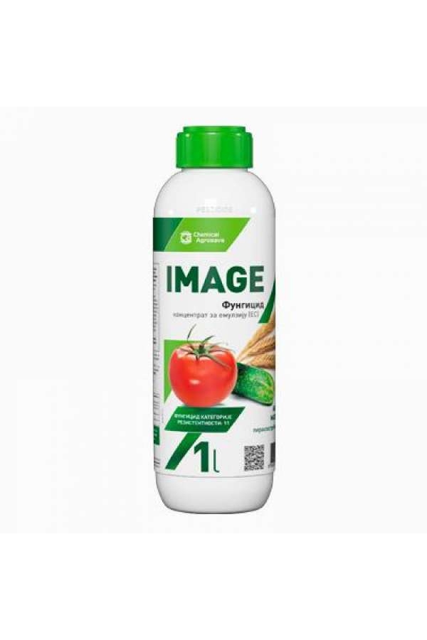 IMAGE 1/1
Šifra: 539 JM: LIT