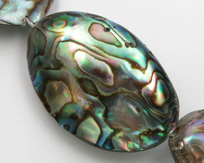 OP_ŠKOLJKA ABALON – 34X18MM OVALI ŠUPLJI (1KOM)