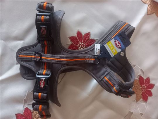 Am za pse