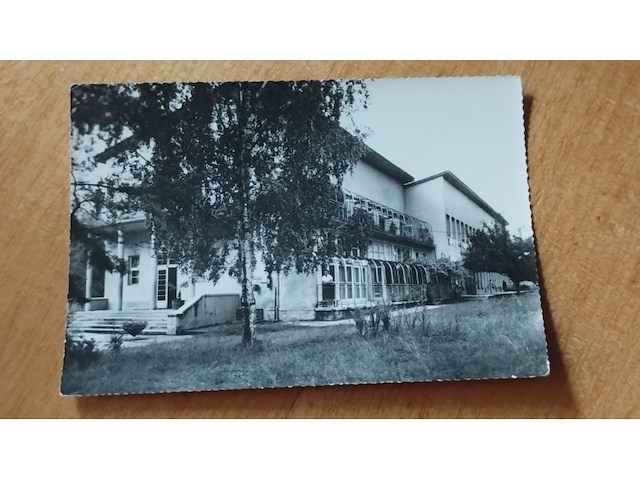 Surdulica - Putovala 1964.g -