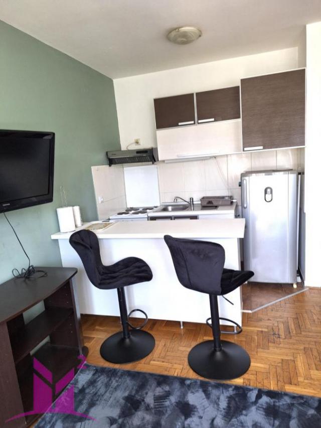 Novi Sad - pet friendly