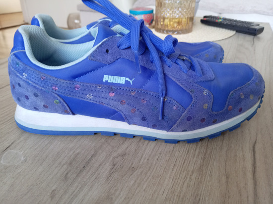 Puma aptike