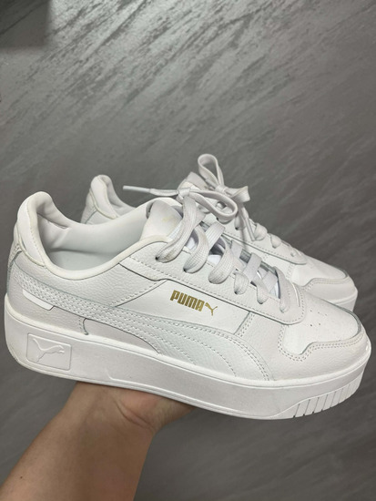 Puma 39
