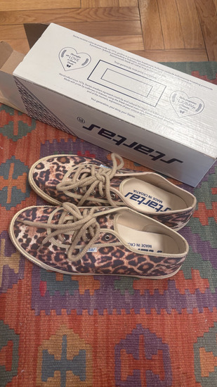 Borovo Startas leopard