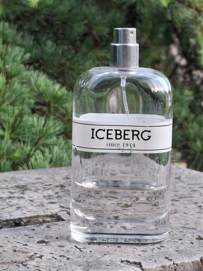 ICEBERG SINCE 1974, ICEBERG, EDP