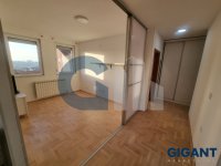 ZVEZDARA Miljana Miljanića ID: 95491342
