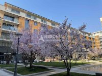 West 65, noviji, atraktivan lokal, 100m2 ID#10527